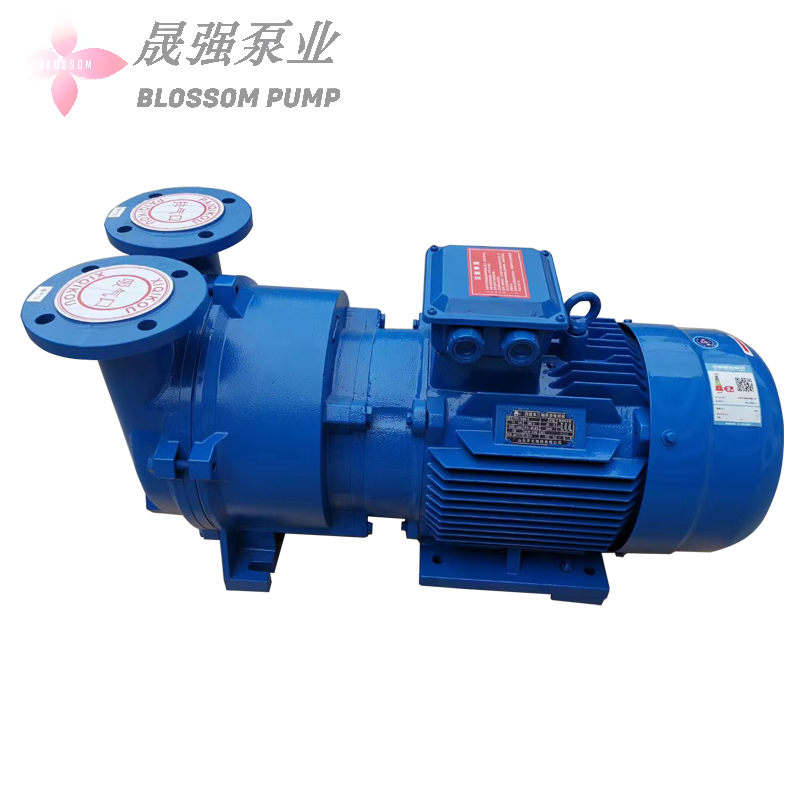 2BV series liquid ring vacuum pump