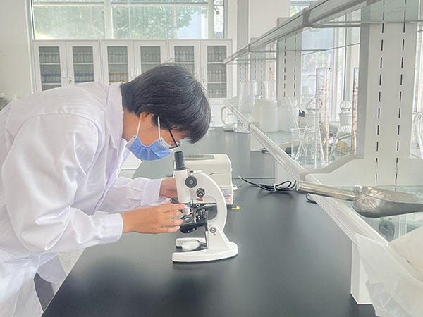 C18-Reversed Phase Silica Gel