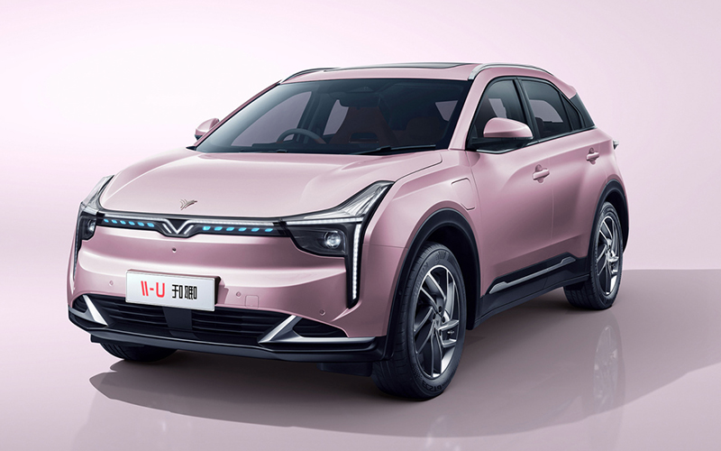 Neta u pro - Shandong Flying New Energy Technology Co., Ltd.