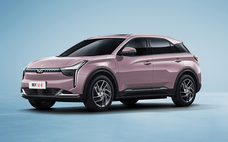 Neta u pro - Shandong Flying New Energy Technology Co., Ltd.