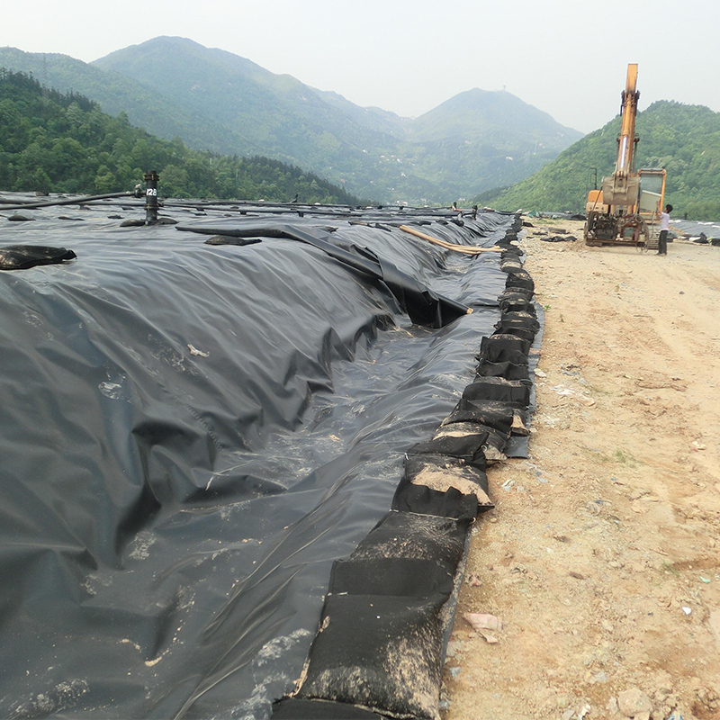 HDPE geomembranes rough surface geomembrane for fish ponds pond liner-Shandong Dingrun New ...