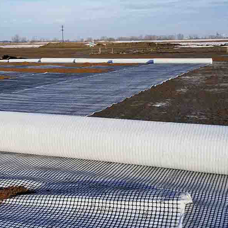 Three dimensional drainage geonet composite drainage networks-Shandong ...