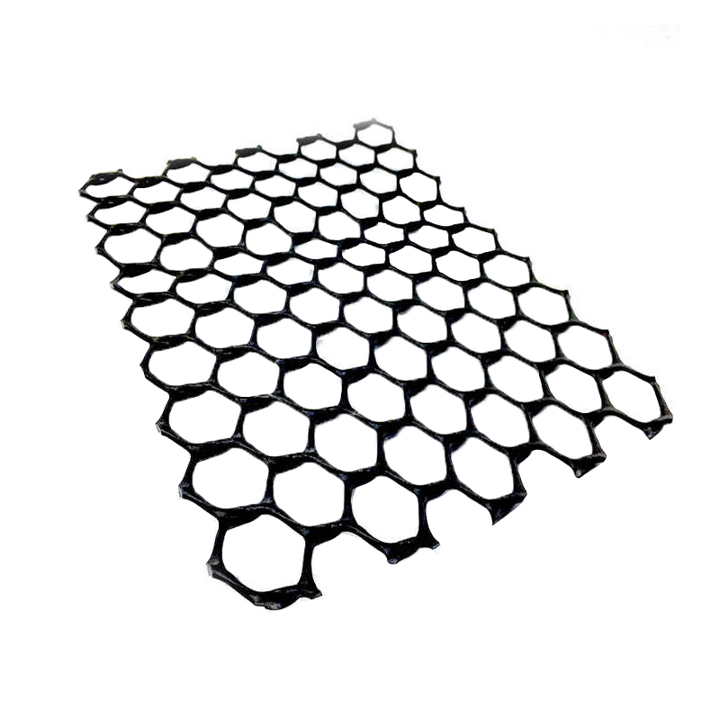 Extrusion plastic net grass protector grid geonet for dam slope ...