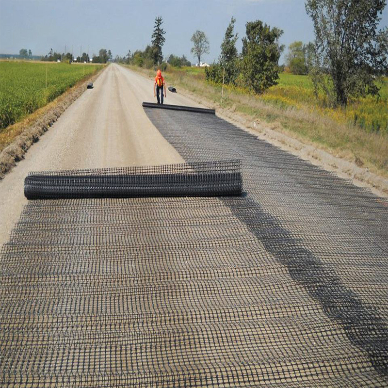 Extrusion plastic net grass protector grid geonet for dam slope ...