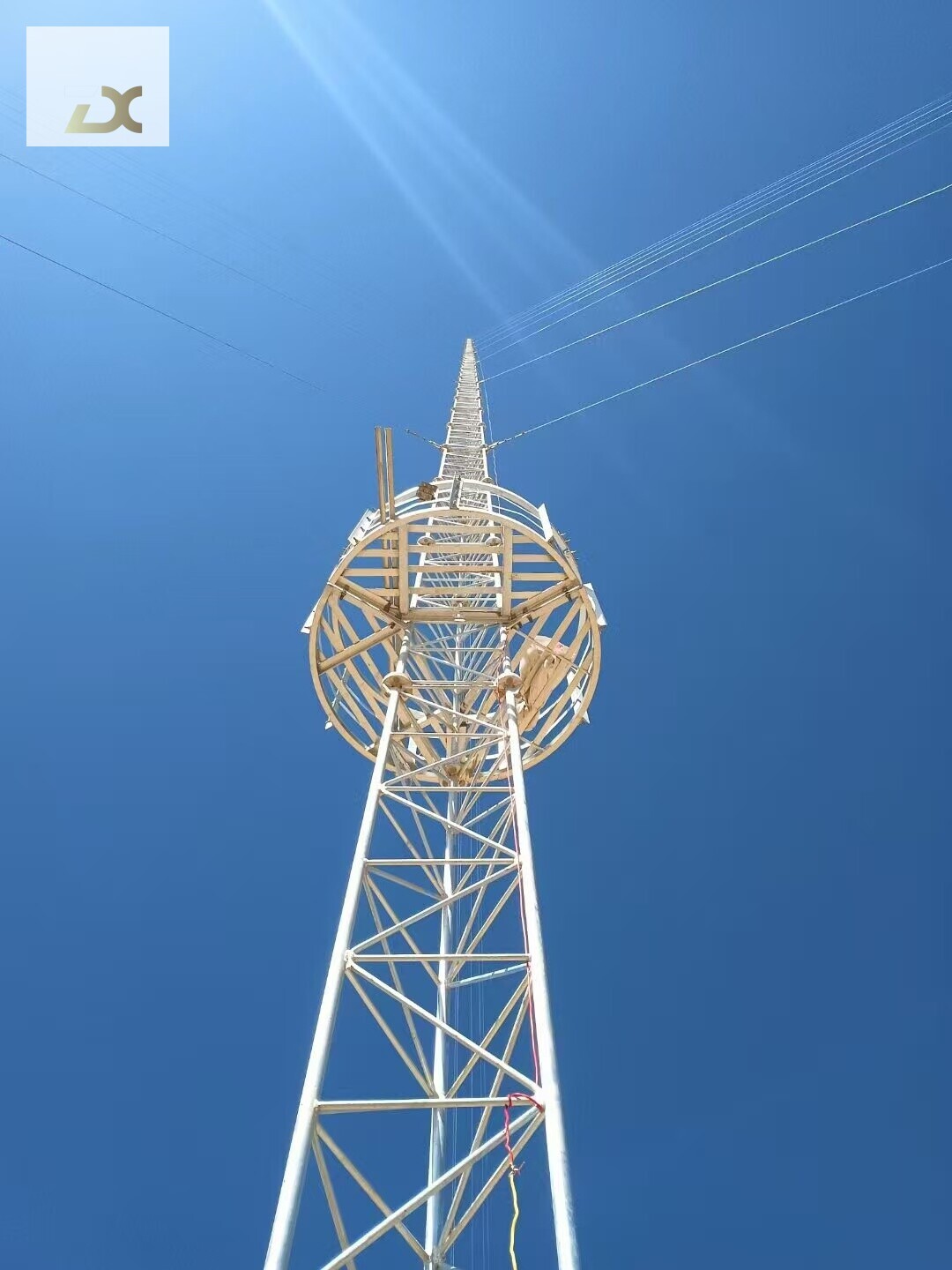 HOME-Zhongxingao lmport and Export Co., Ltd.