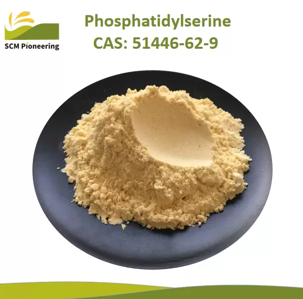 Phosphatidylserine: Boost Brain Function, Memory, and More