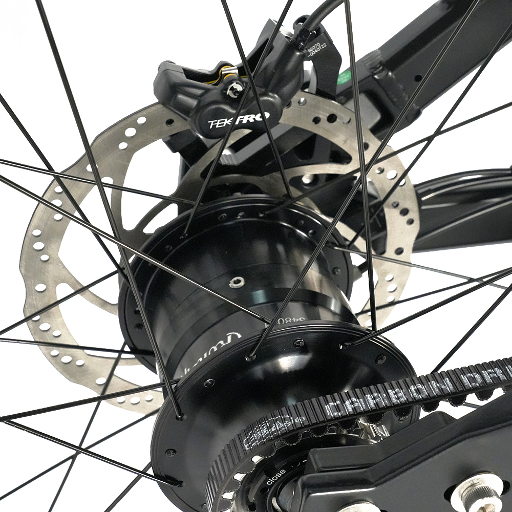 Rohloff 14 Speeds Hub Step Through 48V 1000W Electric Bike With 30Ah ...