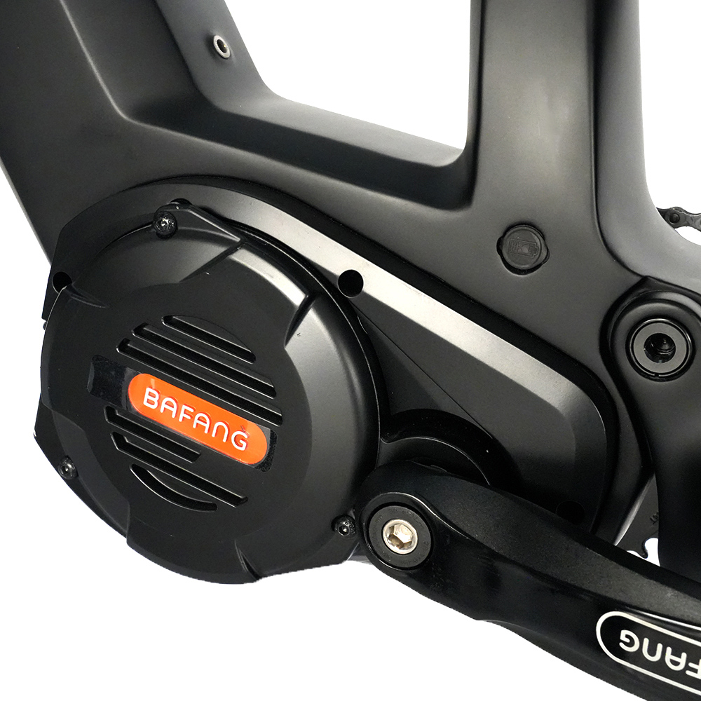 Rohloff 14 Speeds Hub Step Through 48V 1000W Electric Bike With 30Ah ...