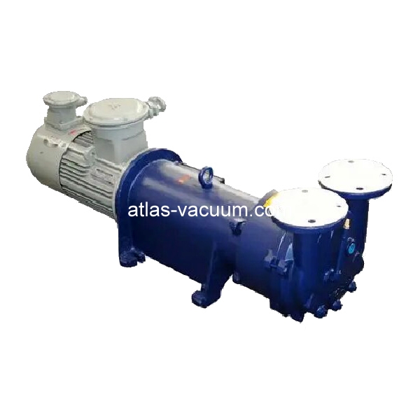 Liquid Ring Vacuum Pump,Vacuum System,Vacuum Compressor,Vacuum Parts,Dry Screw Vacuum Pump-Atlas ...