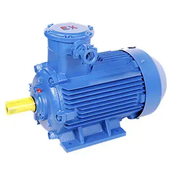 Explosion Proof Motor