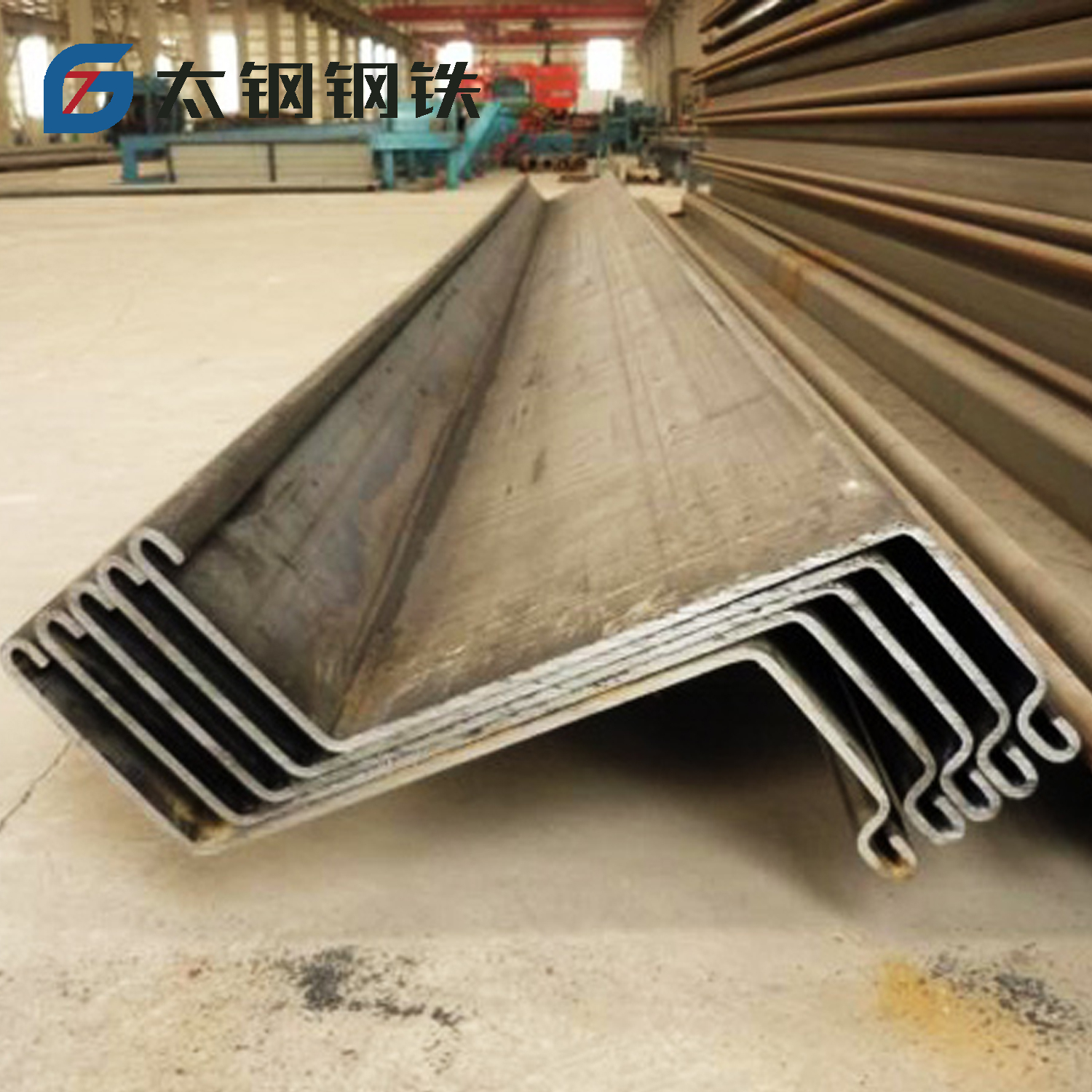 Z Sheet Pile-TAIGANG STEEL GROUP CO.,LTD