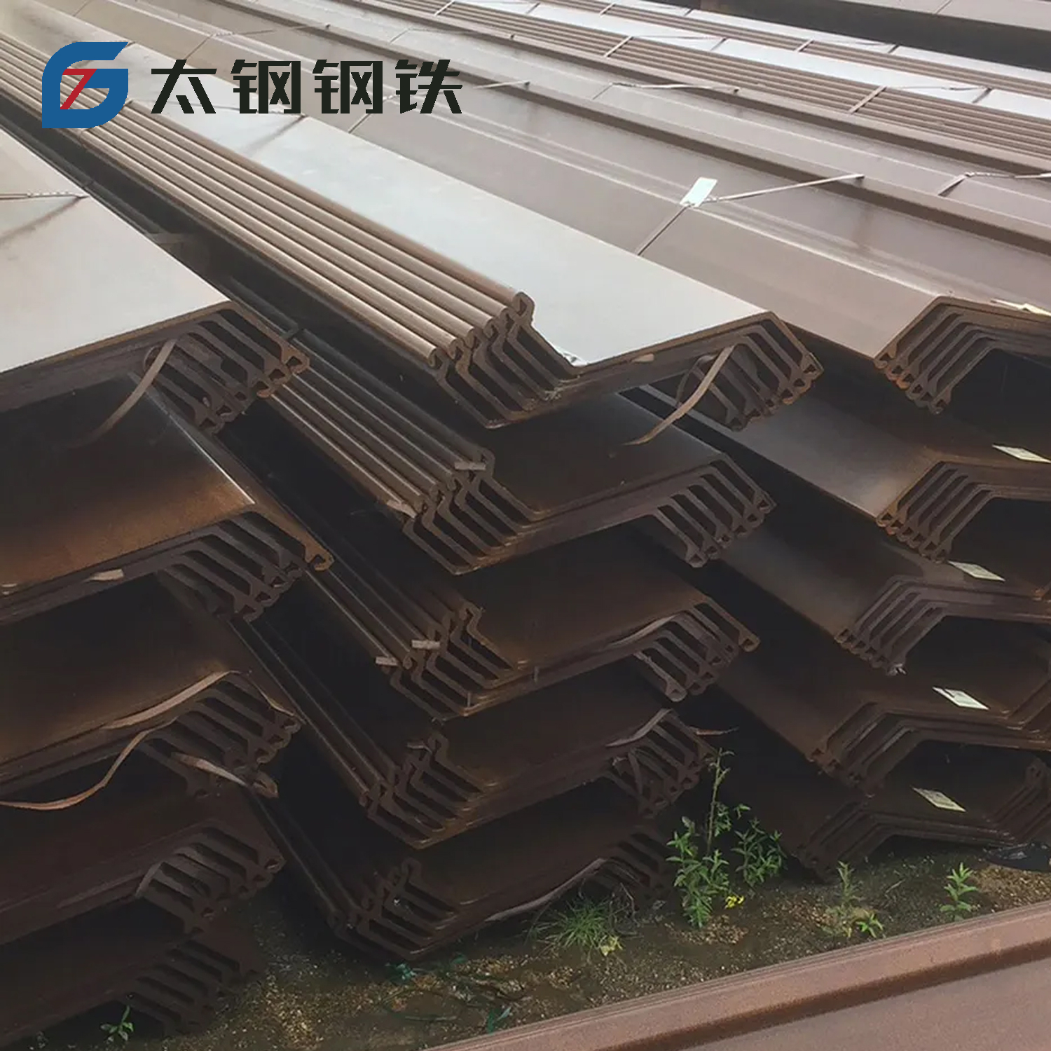 Z Sheet Pile-TAIGANG STEEL GROUP CO.,LTD