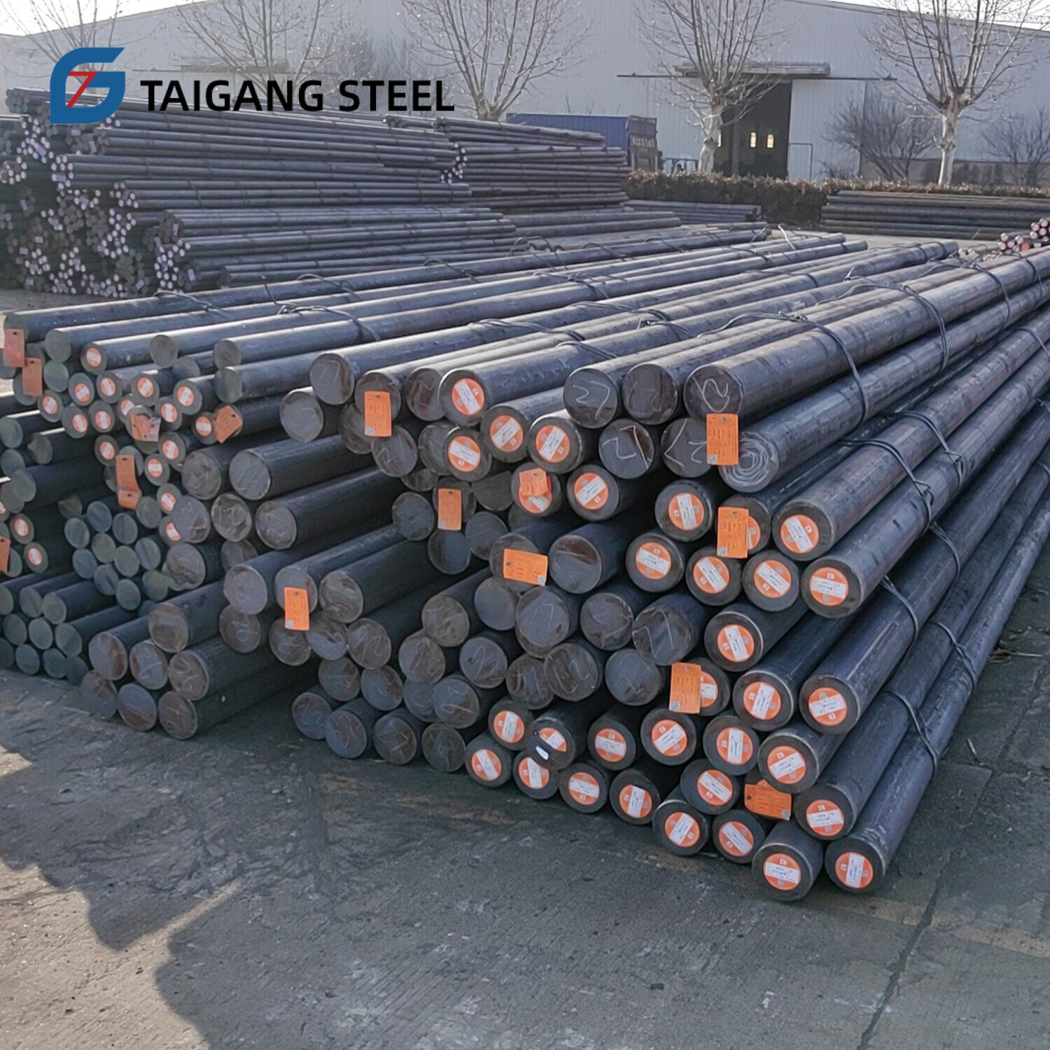 AISI/SAE 4140 Alloy Steel Bar-TAIGANG STEEL GROUP CO.,LTD