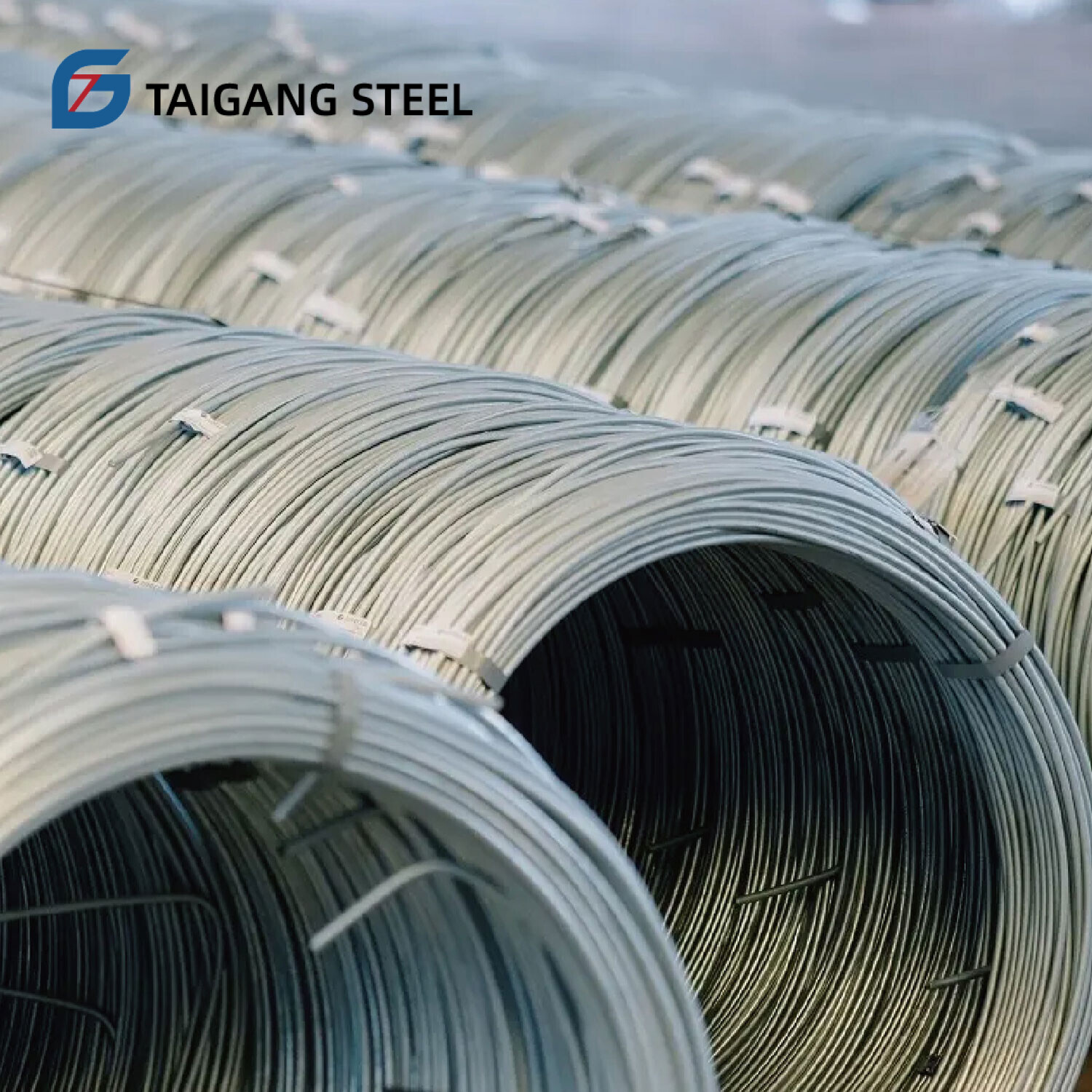 Galvanized Steel Wire-TAIGANG STEEL GROUP CO.,LTD