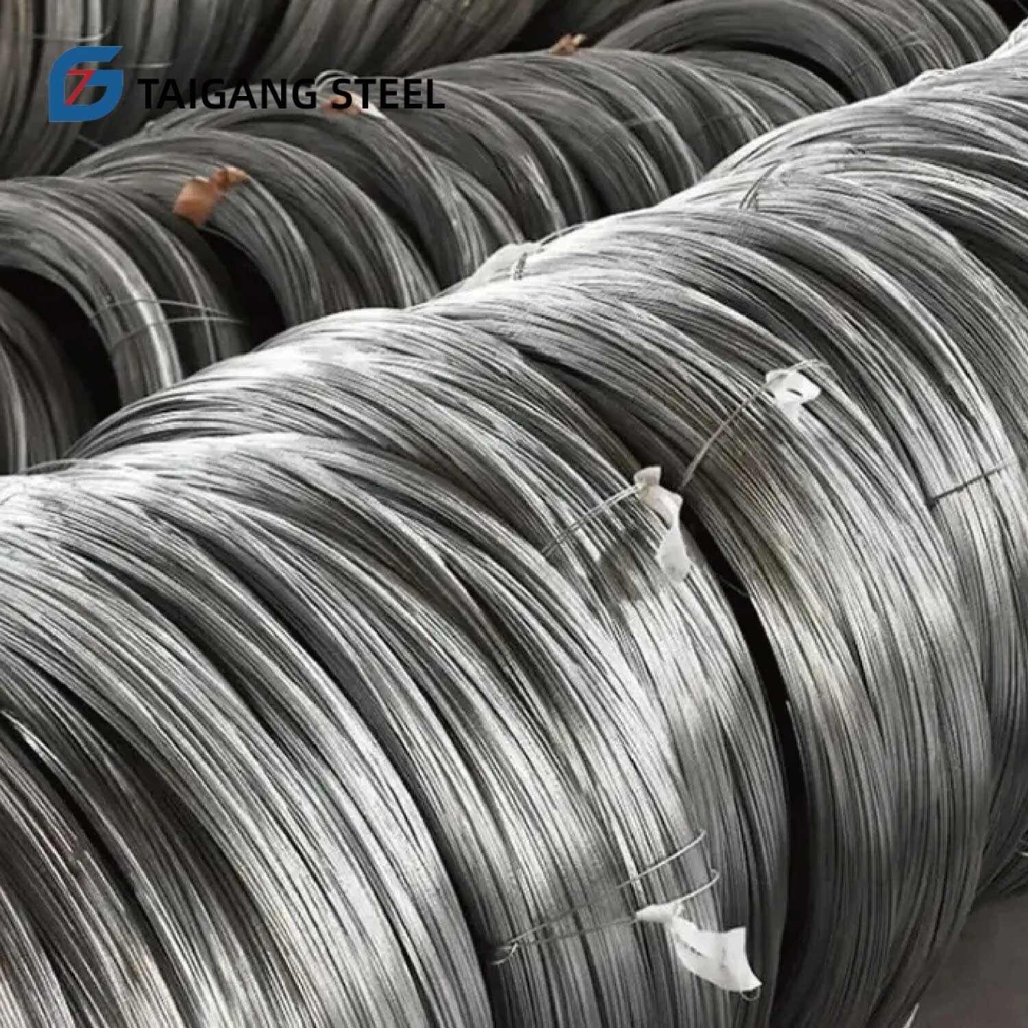 SAE-1008 Steel Wire Rod-TAIGANG STEEL GROUP CO.,LTD