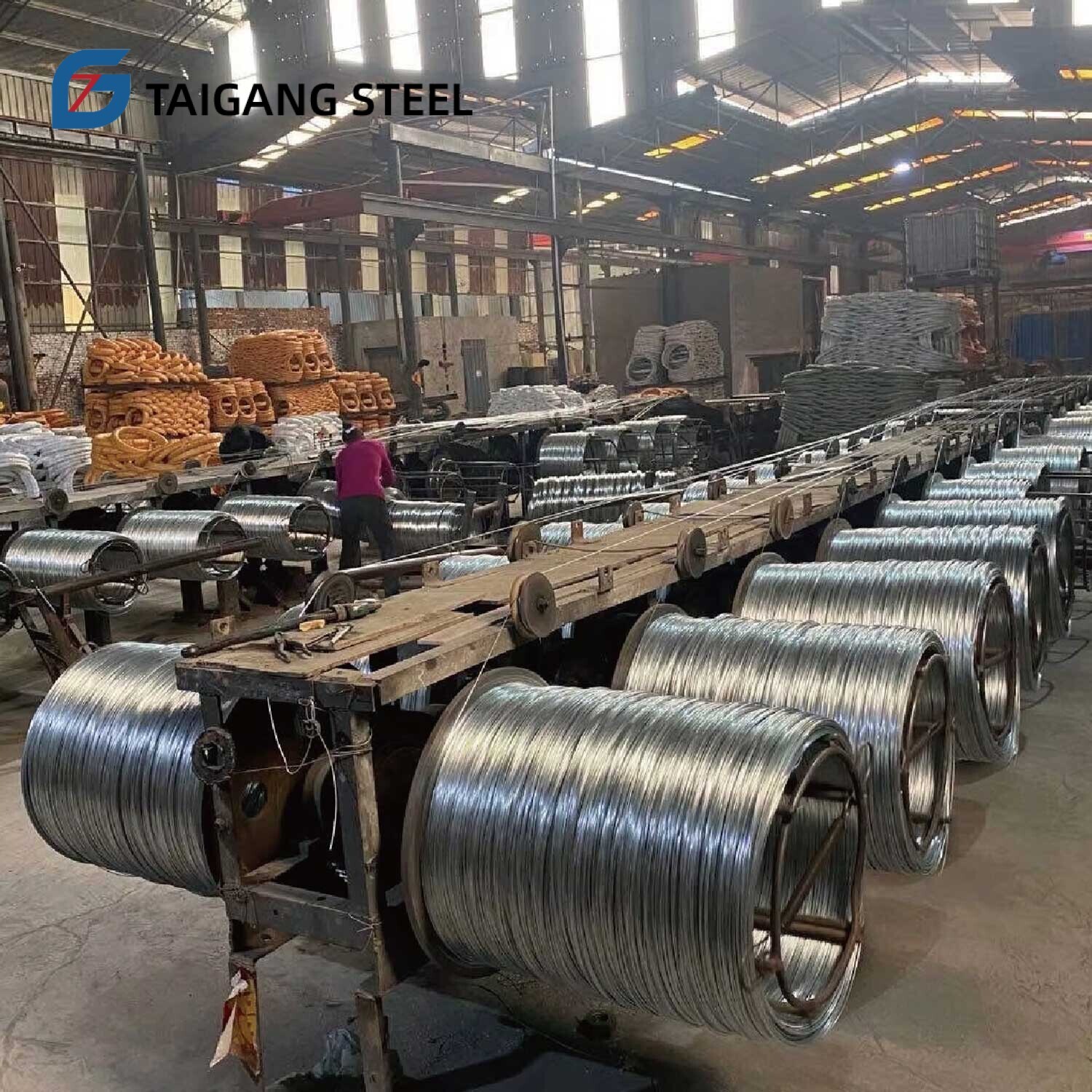 SAE-1008 Steel Wire Rod-TAIGANG STEEL GROUP CO.,LTD