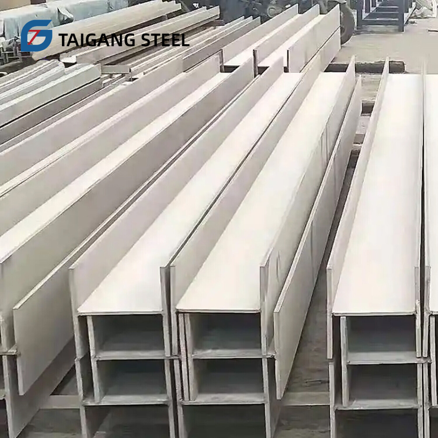 Galvanized H Steel-TAIGANG STEEL GROUP CO.,LTD