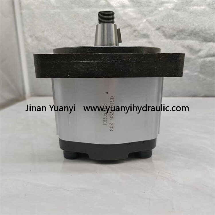 Casappa PLP10-2.5 Hydraulic Pump: Lightweight, Efficient & Durable Gear ...