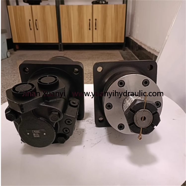 BM6 Series Orbital Hydraulic Motors (BM6-310, BM6-390, BM6-490, BM6-625 ...