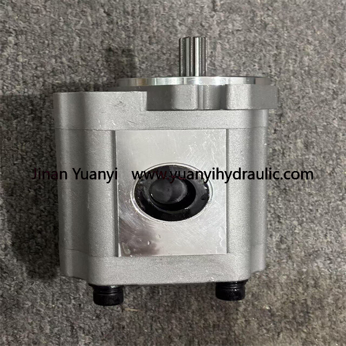 Linde HPV Series Hydraulic Variable Piston Pump Models: HPV55-02R ...