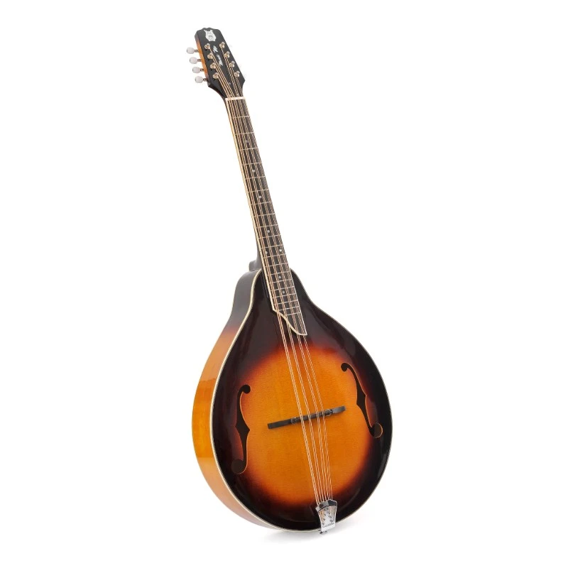 All solid wood body with carved Spruce top A style Mandocello-Afanti ...
