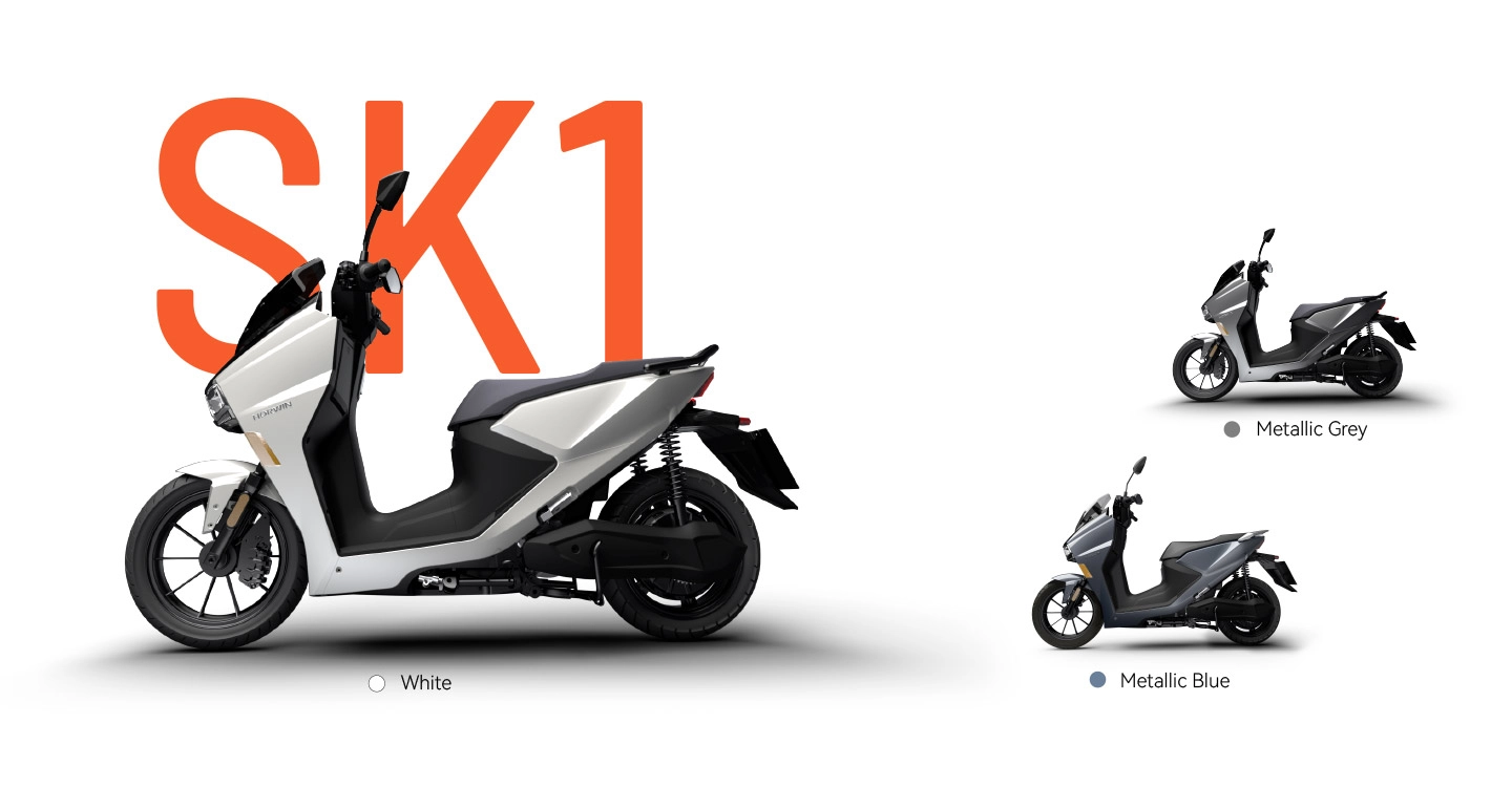 SK1 - HORWIN